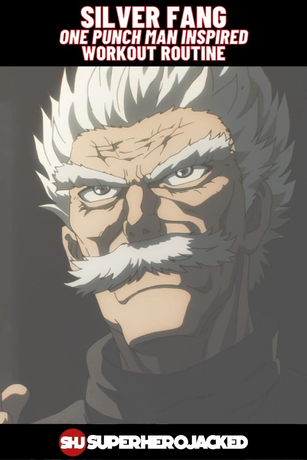 Silver Fang Workout Routine: Train like One Punch Man's Bang!